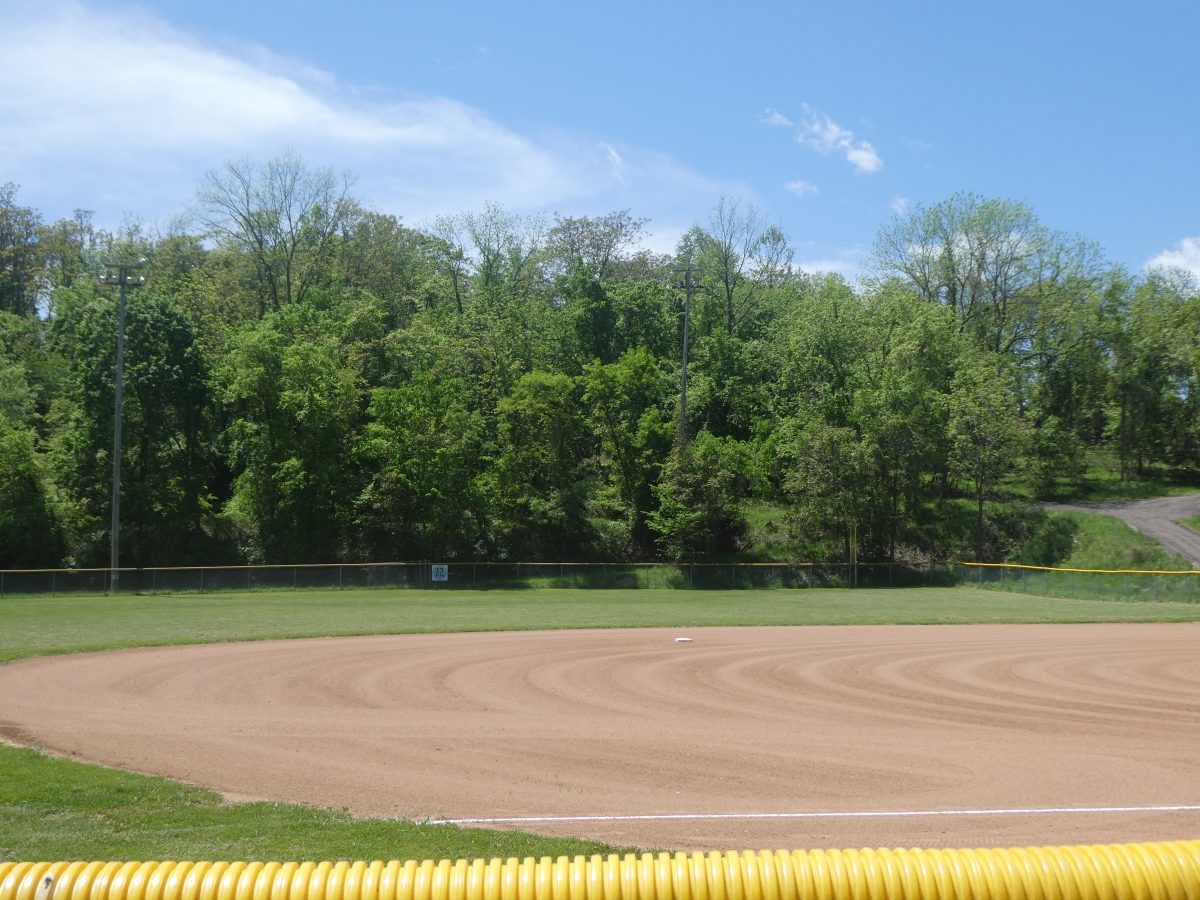 Washington School Board nixes plans to renovate Colt field - Observer ...